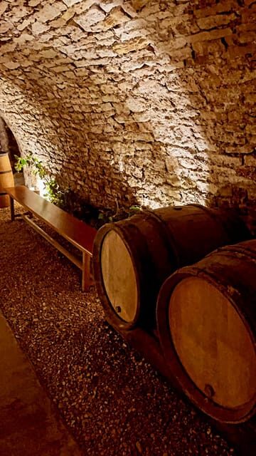 Route du Champagne: Food and wine tour - Who Should Consider This Experience?