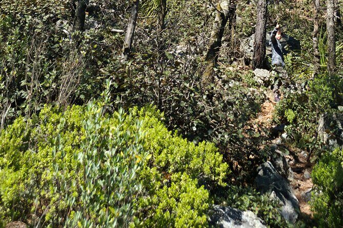 Route to the Peñas Cuatas Science Forest and Adventure - The 1 km Trail: A Walk Through Native Vegetation