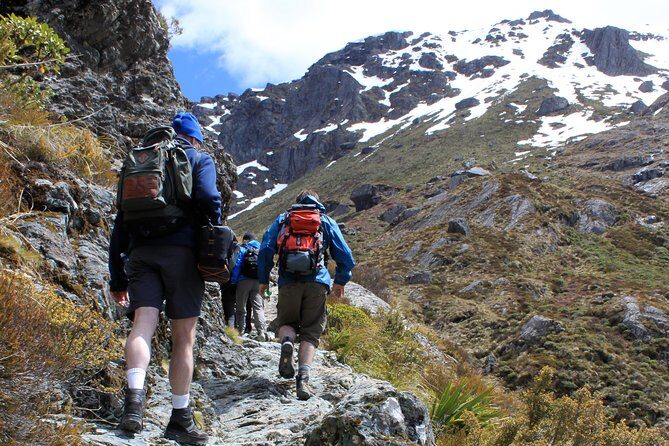 Routeburn Track Guided Hike (Full Day) - Exploring the Routeburn Track Guided Hike: A Detailed Review