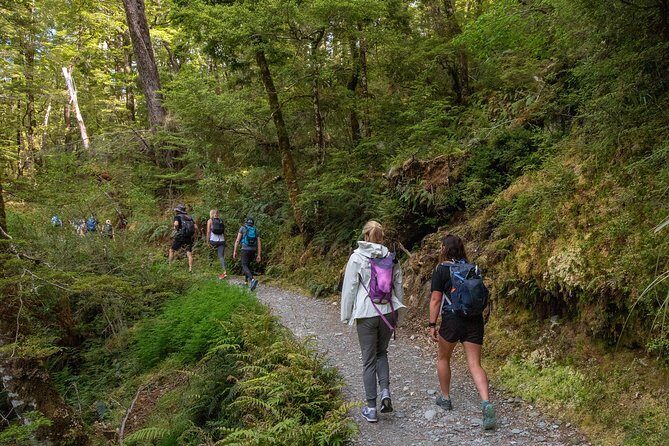 Routeburn Track Guided Hike (Full Day) - The Value of This Guided Experience