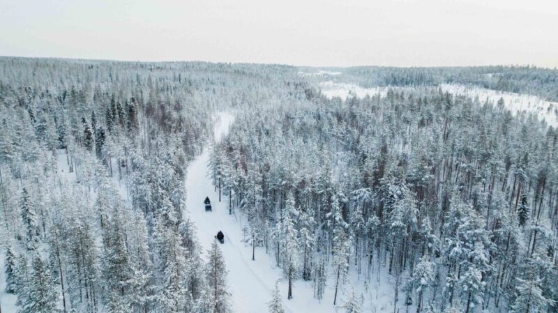 Rovaniemi: 3-Hour Snowmobile Safari in Lapland - A Closer Look at the Experience