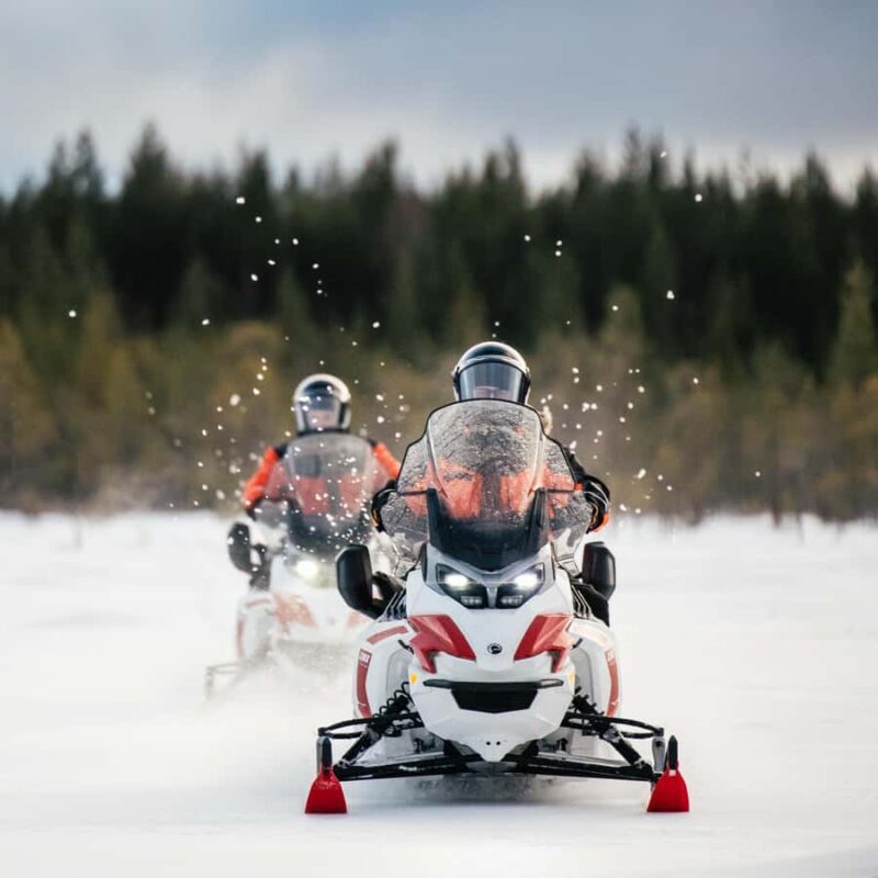 Rovaniemi: 3h Electric Snowmobile Safari at Reindeer Farm - Is It Worth the Price?