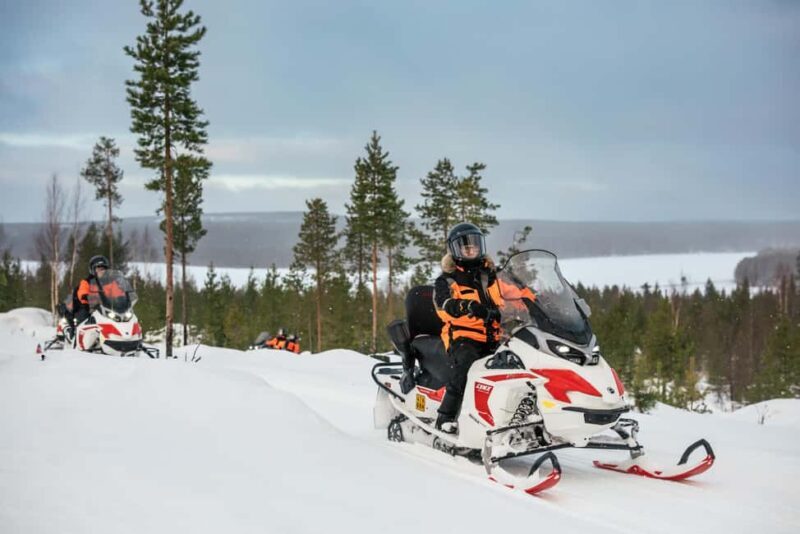Rovaniemi: 4h Electric Snowmobile Safari at Reindeer Farm - The Experience’s Pros and Cons