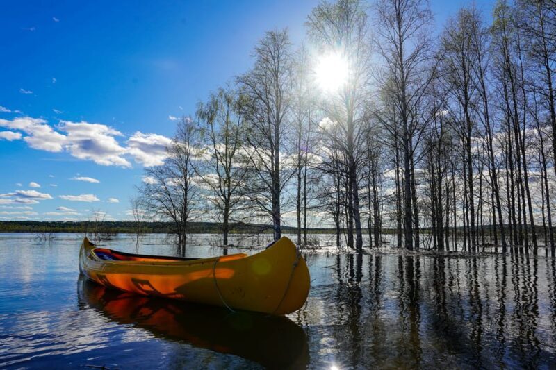 Rovaniemi: All-Day Canoe Adventure - What Travelers Say
