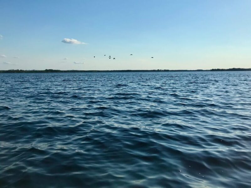 Rovaniemi: All-Day Canoe Adventure - Practicalities and Tips
