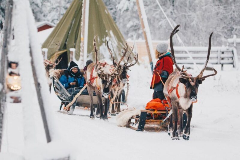 Rovaniemi: Apukka Reindeer Journey - A Calm Introduction to Reindeer and Sami Culture