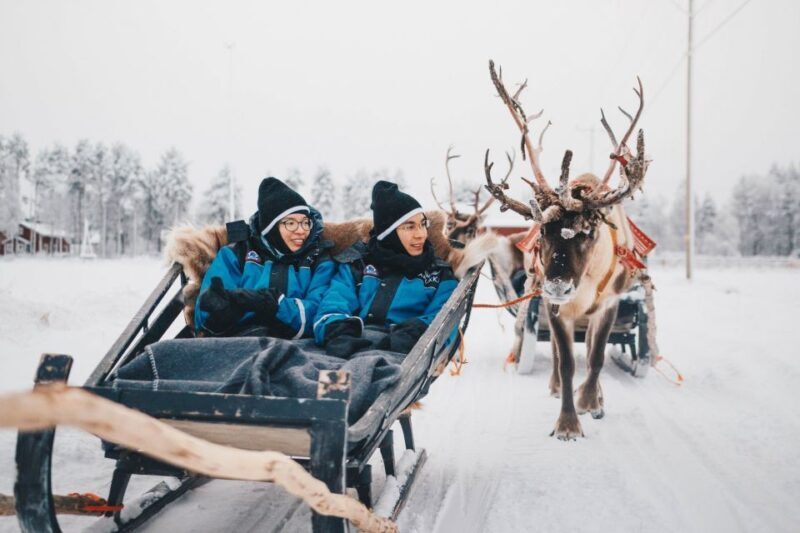 Rovaniemi: Apukka Reindeer Journey - Learning and Feeding
