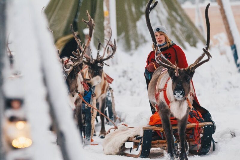 Rovaniemi: Apukka Reindeer Journey - Overall Value and Considerations