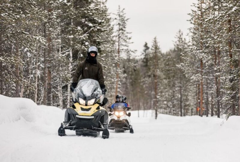Rovaniemi: Arctic Circle Family-Friendly Snowmobile Tour - Analyzing the Value: Price vs. Experience