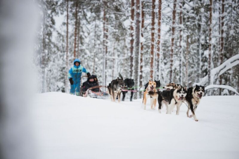 Rovaniemi: Arctic Circle Highlights by Snowmobile - Rovaniemi: Arctic Circle Highlights by Snowmobile