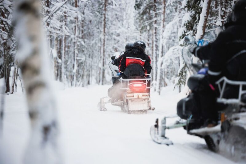 Rovaniemi: Arctic Circle Highlights by Snowmobile - Practicalities: What to Know Before Booking