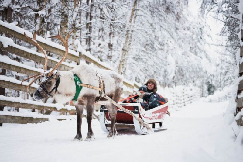 Rovaniemi: Arctic Circle Highlights by Snowmobile - Authenticity and the Travel Experience