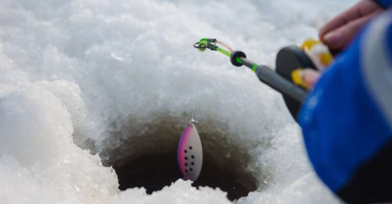 Rovaniemi: Arctic Circle Ice Fishing Experience - Introduction: What to Expect from the Rovaniemi Ice Fishing Tour