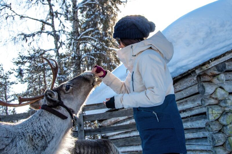 Rovaniemi: Arctic Reindeer Experience with Lunch - FAQ