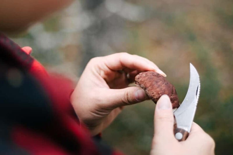 Rovaniemi: Arctic Wild Berry & Mushroom Foraging and Tasting - The Foraging Experience: Getting Your Hands Dirty