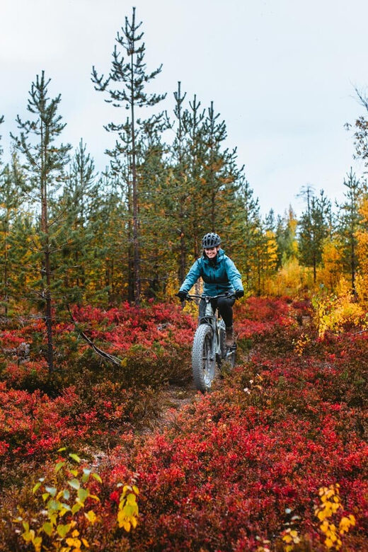 Rovaniemi: Arctic Wilderness & Forests Guided E-Bike Tour - The Sum Up