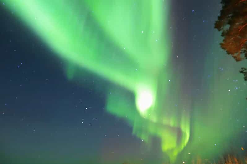 Rovaniemi: Aurora Borealis Trip  Autumn - Who Will Appreciate This Tour?