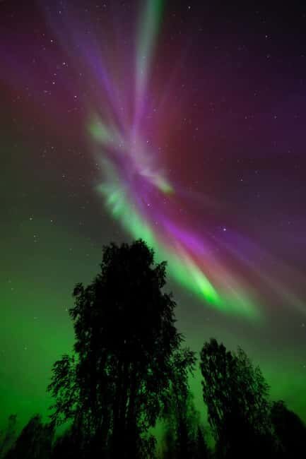 Rovaniemi: Aurora Hunt Photo & Video (Money-Back Guarantee) - The Value of the Experience