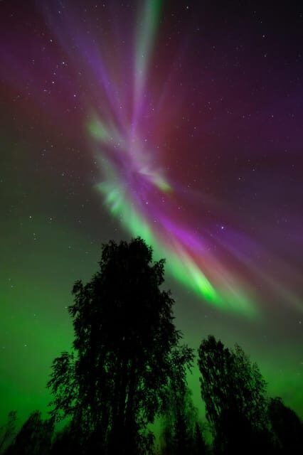 Rovaniemi: Aurora Hunt with Money-Back Guarantee and Photo - Final Thoughts