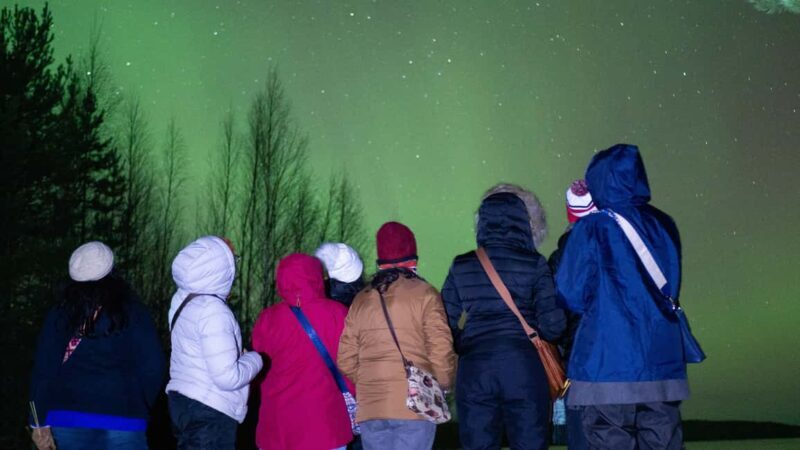 Rovaniemi: Aurora hunting and a fireside BBQ experience - Practical Details: Transportation, Timing, and Comfort