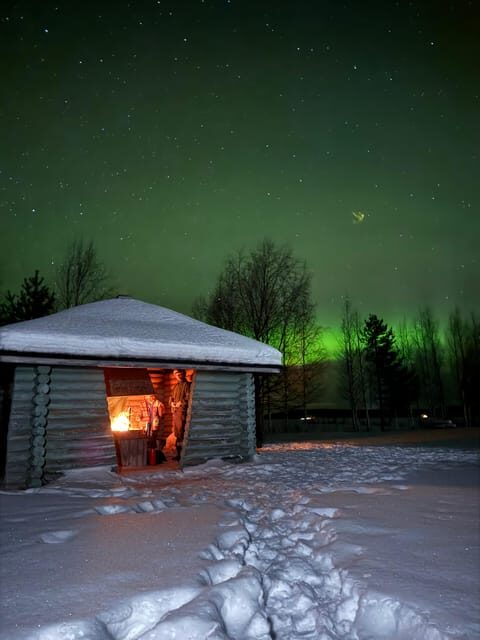 Rovaniemi: Aurora hunting and a fireside BBQ experience - Key Points