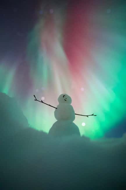 Rovaniemi: Aurora Hunting Group Tour - Guaranteed View - The Practical Aspects