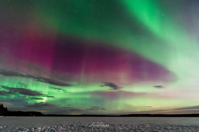 Rovaniemi: Aurora Hunting & Photography Tour - An In-Depth Look at the Rovaniemi Aurora Hunting & Photography Tour