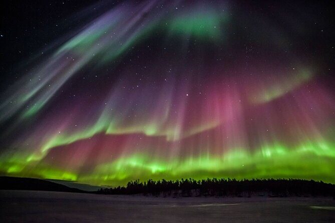 Rovaniemi Aurora Hunting Tour - Key Points