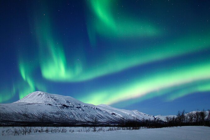 Rovaniemi Aurora Hunting Tour - The Authentic Experience: Why It Stands Out