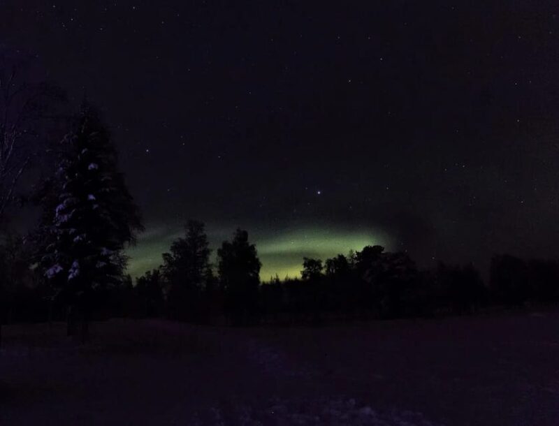Rovaniemi: Aurora Hunting Tour in the Forest with Hot Drinks - The Sum Up