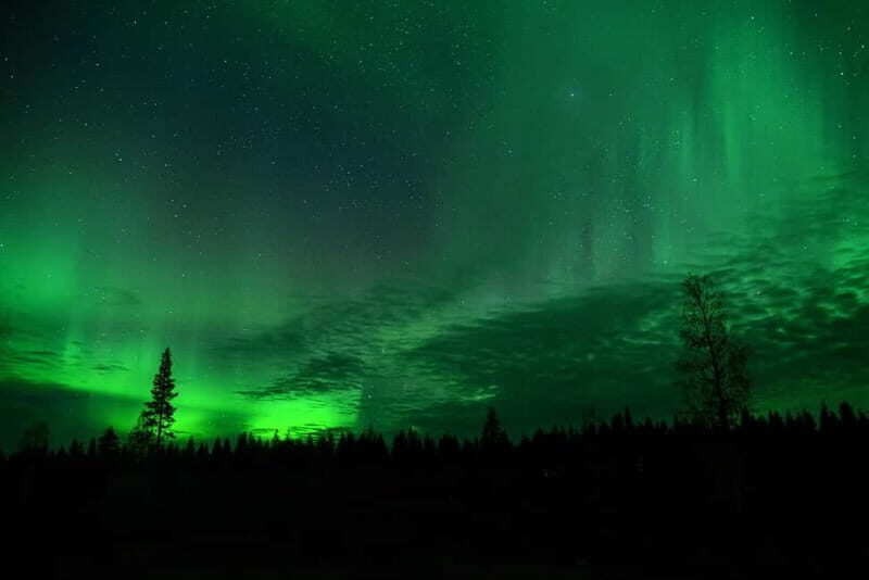 Rovaniemi: Aurora Train to Wilderness Camp - The Journey: What to Expect on the Aurora Train to Wilderness Camp