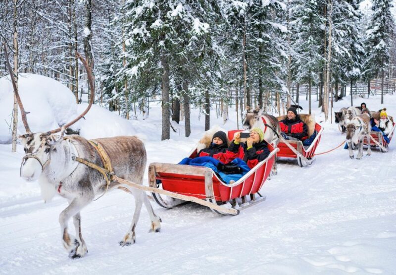 Rovaniemi: Authentic Reindeer Farm Visit and Sleigh Ride - Key Points