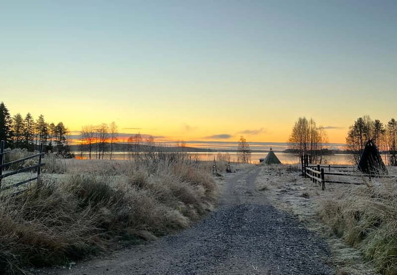 Rovaniemi: Autumn Husky Ride on Wheels - The Experience in Detail