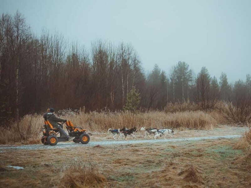 Rovaniemi: Autumn Husky Ride on Wheels - Final Thoughts