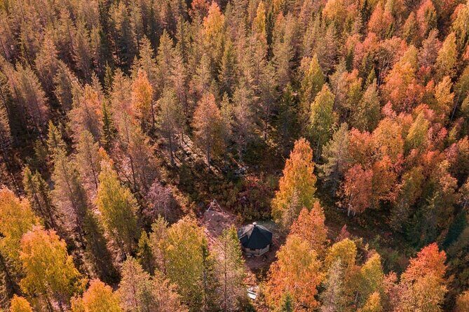 Rovaniemi Autumn Husky Safari & BBQ  610 km SelfDrive - What You Can Expect: A Deep Dive into the Itinerary