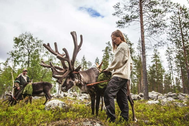Rovaniemi: Autumn Reindeer Farm Visit - Key Points