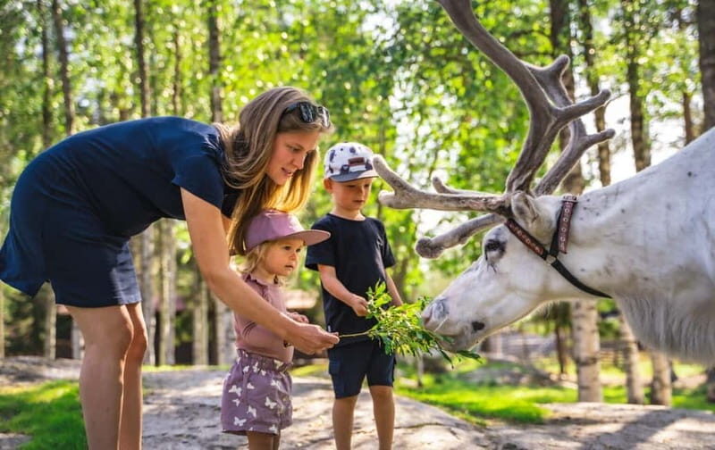 Rovaniemi: Autumn Reindeer Farm Visit - A Genuine Look at Lapland’s Reindeer Culture