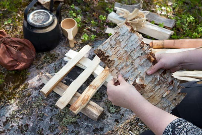 Rovaniemi: Autumn-Summer Arctic Survival Tour - Key Points