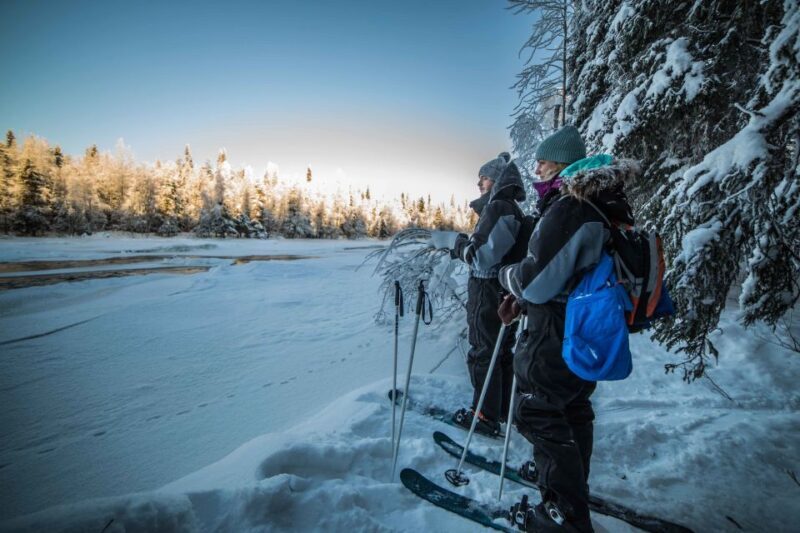 Rovaniemi: Backcountry Skiing Adventure - A Balanced Look at the Experience