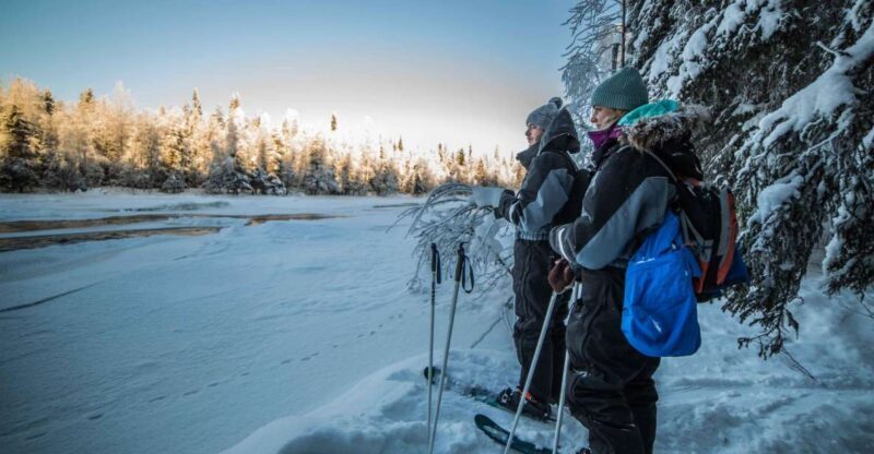 Rovaniemi: Backcountry Skiing Adventure - Final Thoughts