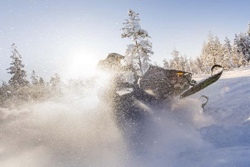 Rovaniemi: Backwoods Adventure Full Day Snowmobile Safari - Key Points