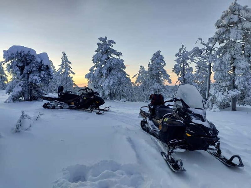 Rovaniemi: Backwoods Adventure Full Day Snowmobile Safari - An In-Depth Look at the Snowmobile Safari Experience
