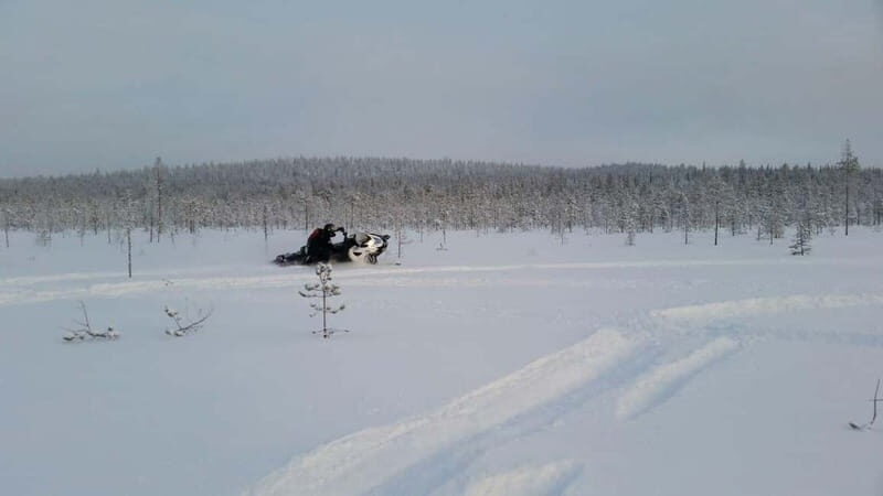 Rovaniemi: Backwoods Adventure Full Day Snowmobile Safari - Authentic Reviews and Traveler Perspectives