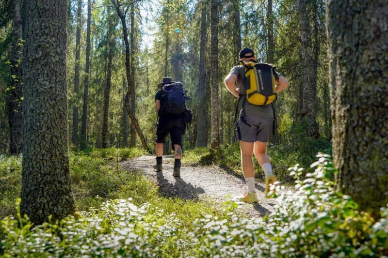 Rovaniemi: Berry and Mushroom Picking with Wilderness Guide - Key Points
