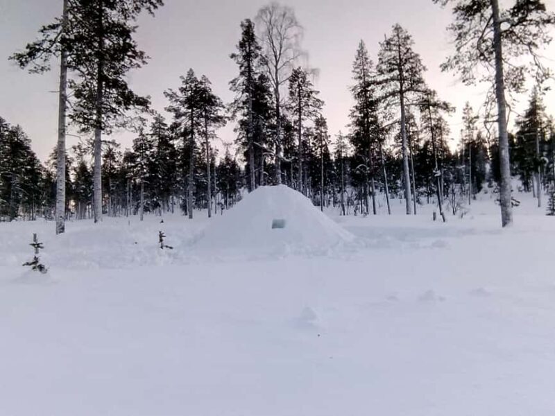 Rovaniemi: Building a Snow Igloo - An Authentic Arctic Learning Experience