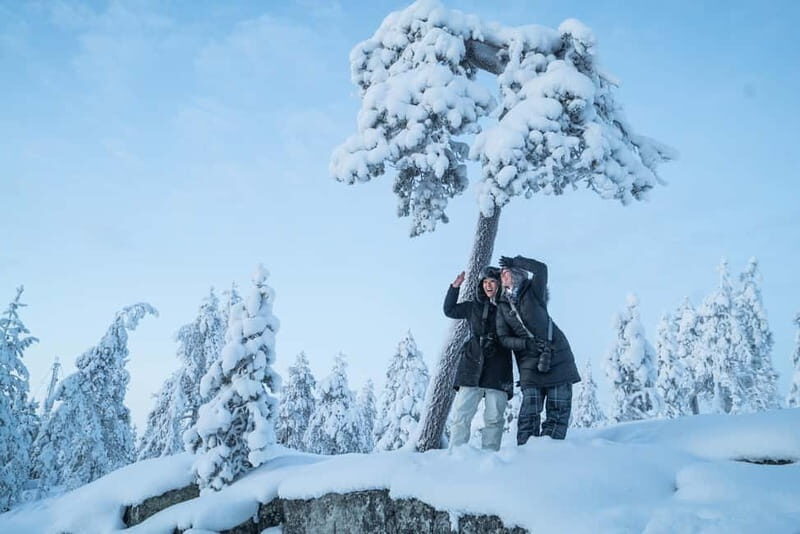 Rovaniemi City Photography Tour - An Authentic Arctic Snapshot for Photo Enthusiasts and Curious Travelers