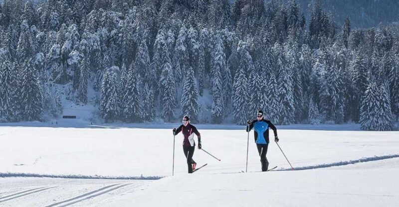 Rovaniemi: Cross Country Wilderness Ski Adventure - Introduction: What You Need to Know
