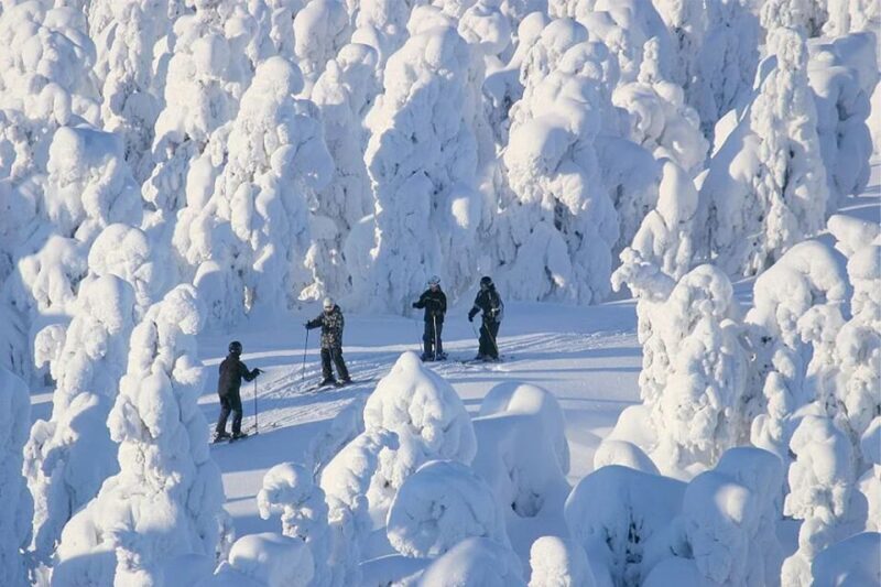 Rovaniemi: Cross Country Wilderness Ski Adventure - What The Reviews Say