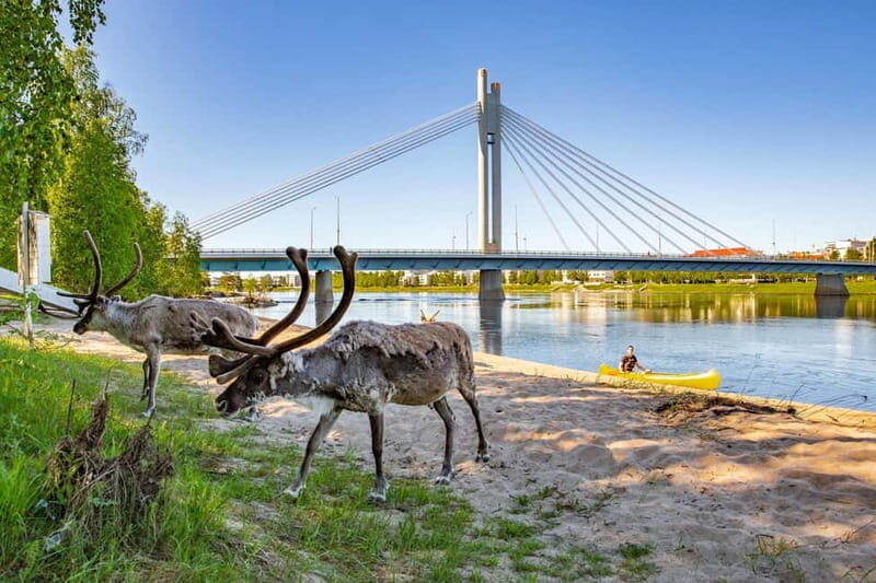 Rovaniemi: Cultural Canoe Trip - Key Points