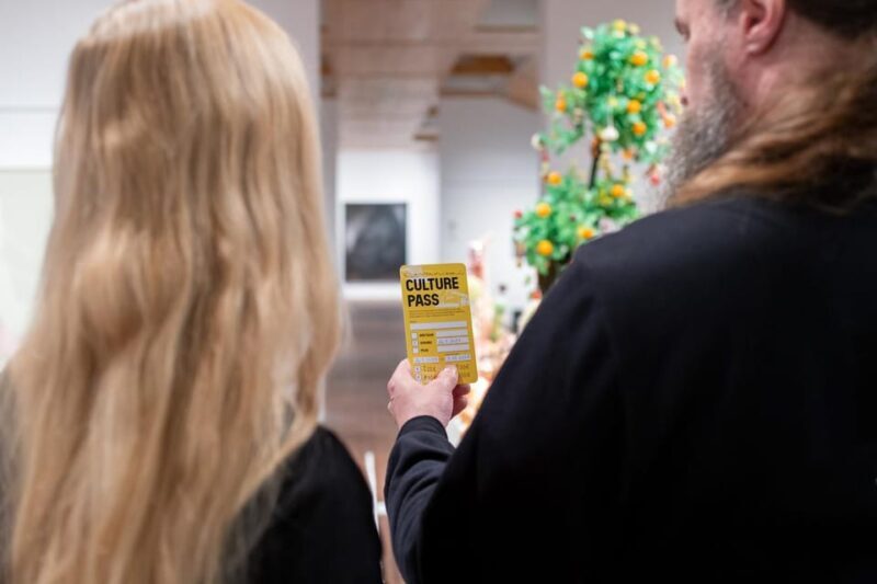 Rovaniemi: Culture Pass to Arktikum, Korundi, and Pilke - What to Expect and Practical Details